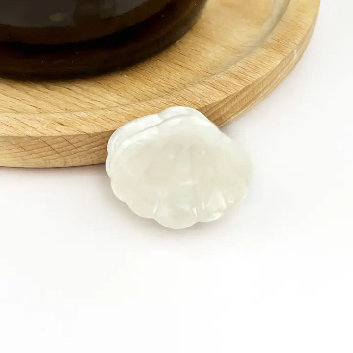 White Ocean Shell Mini Claw Clip – Fenwick Float-ors