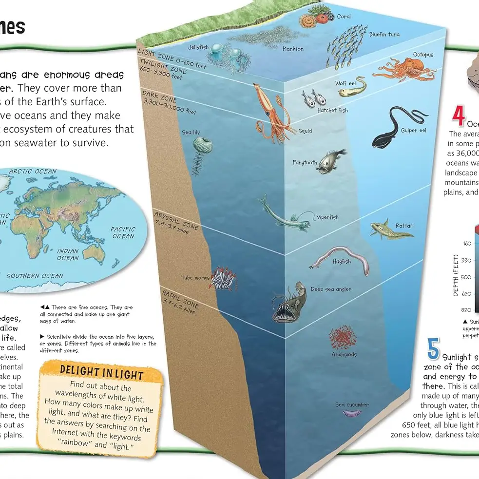 Wild About Oceans Book – Fenwick Float-ors