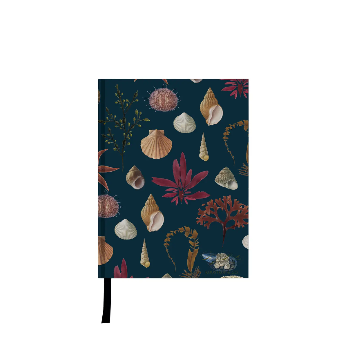 Shells - Blank Notebook (Recycled Paper) – Fenwick Float-ors