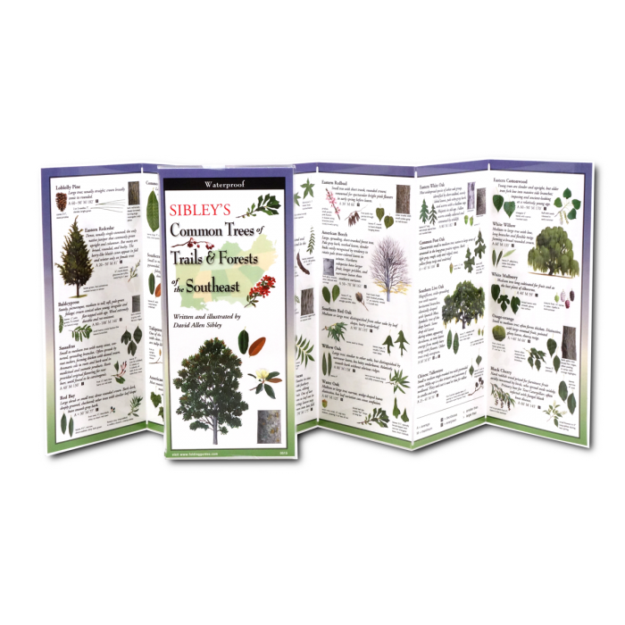 Common Trees of Trails & Forests of the Southeast Folding Reference Gu ...
